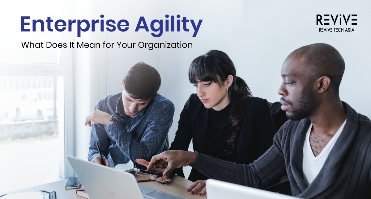 Driving Customer Value and Innovation with Enterprise Agility