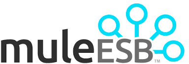 Mule - Build REST API for Database CRUD Operations | Appnovation