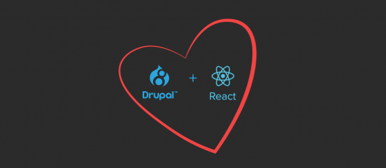 How To Use Drupal Rest Services With Angularjs Appnovation 